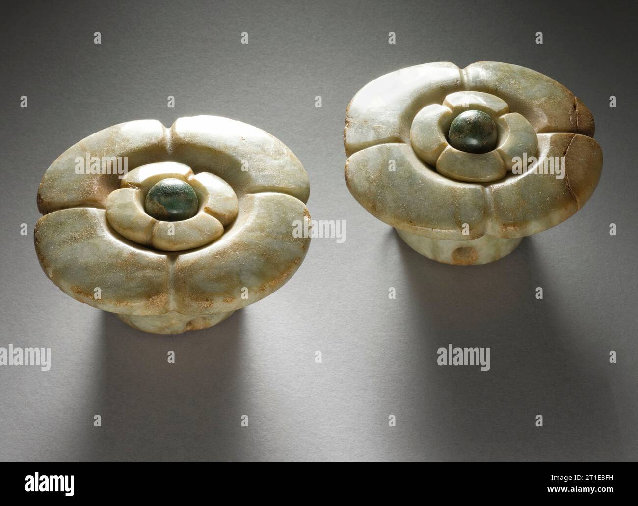 Disc shaped flower hi-res stock photography and images - Alamy