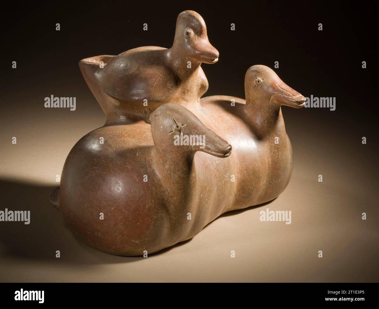 500 ducks hi-res stock photography and images - Alamy