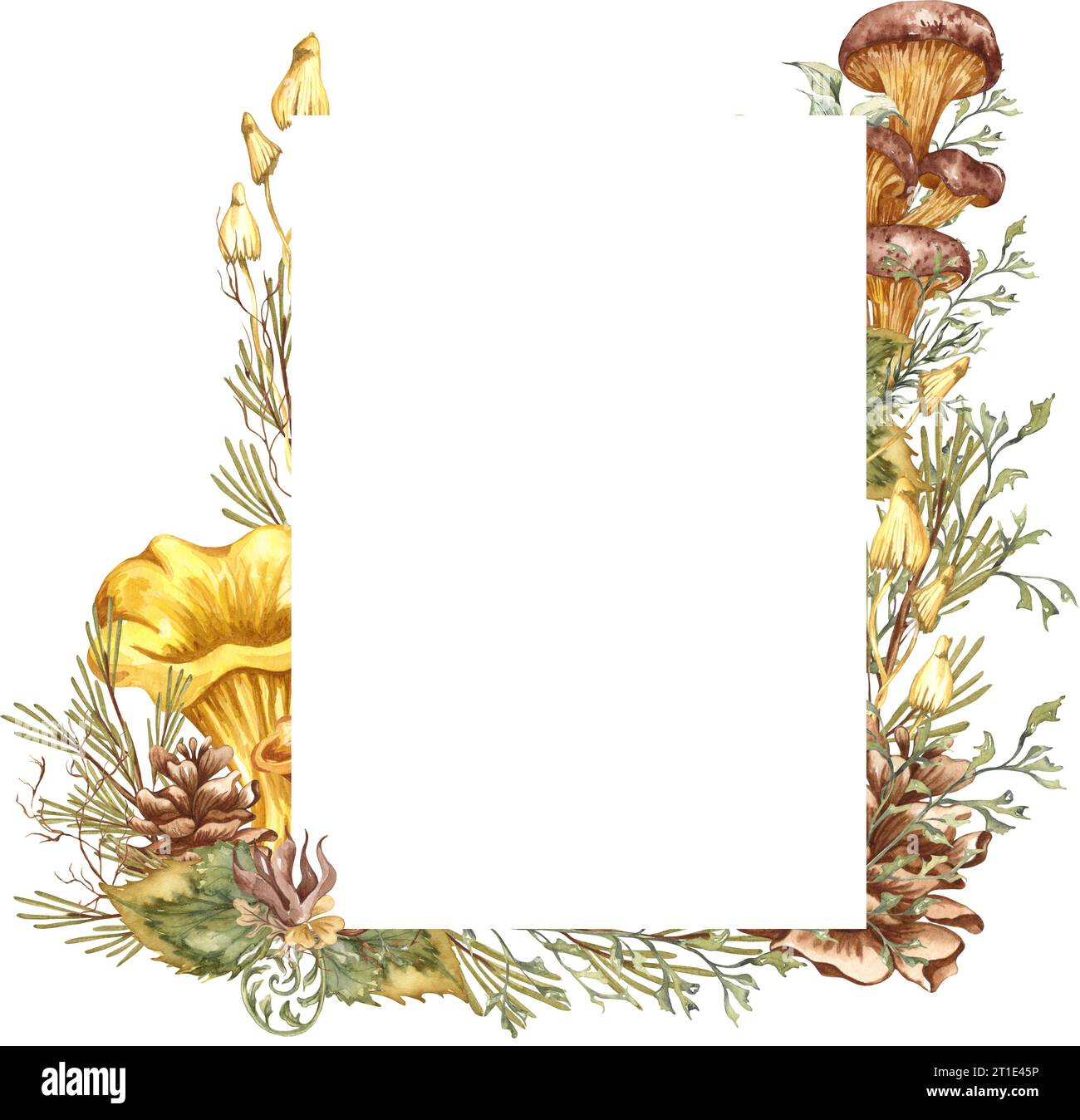 Watercolor forest frame. Woodland invitation template Illustration ...