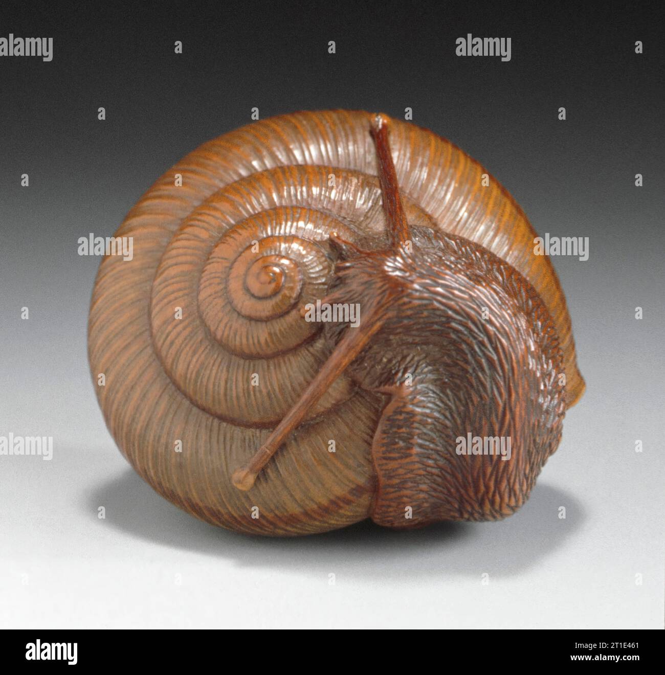 First half of 19th century hi-res stock photography and images - Alamy