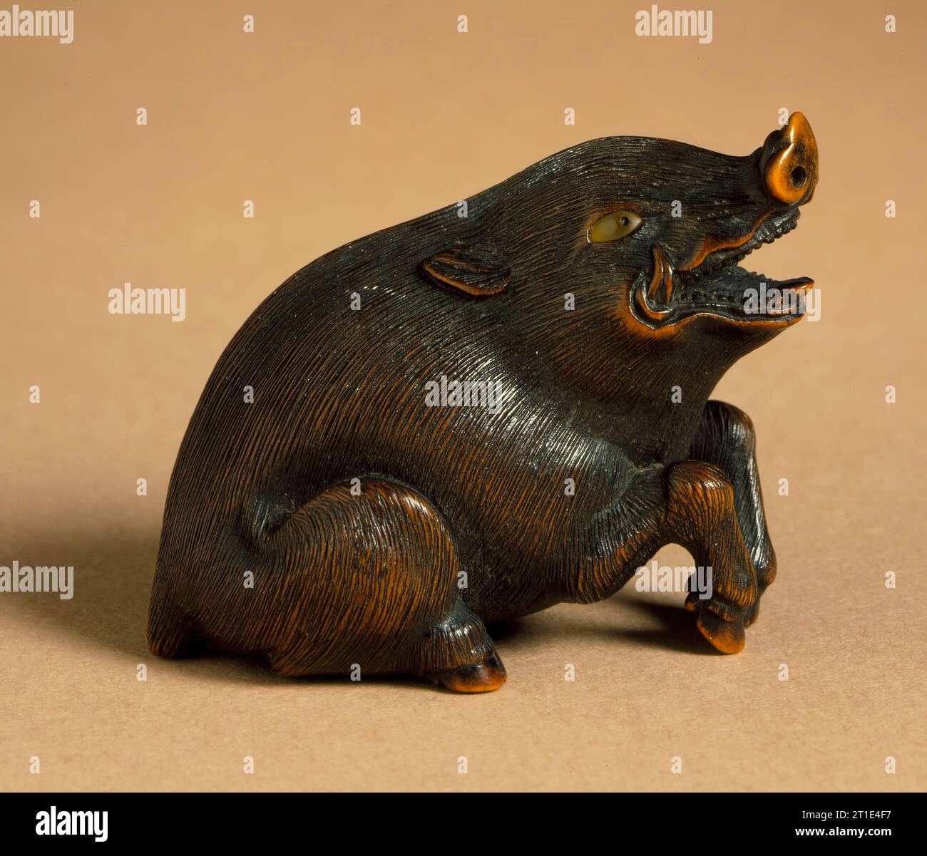 Wild Boar, First half of 19th century Stock Photo - Alamy