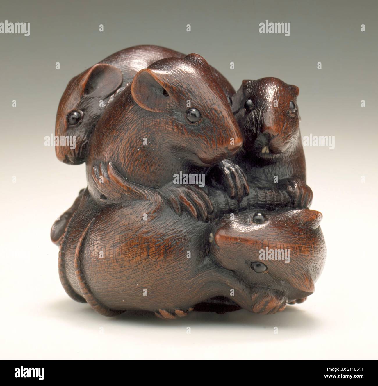 Five Rat Group, Mid-late 19th century Stock Photo - Alamy