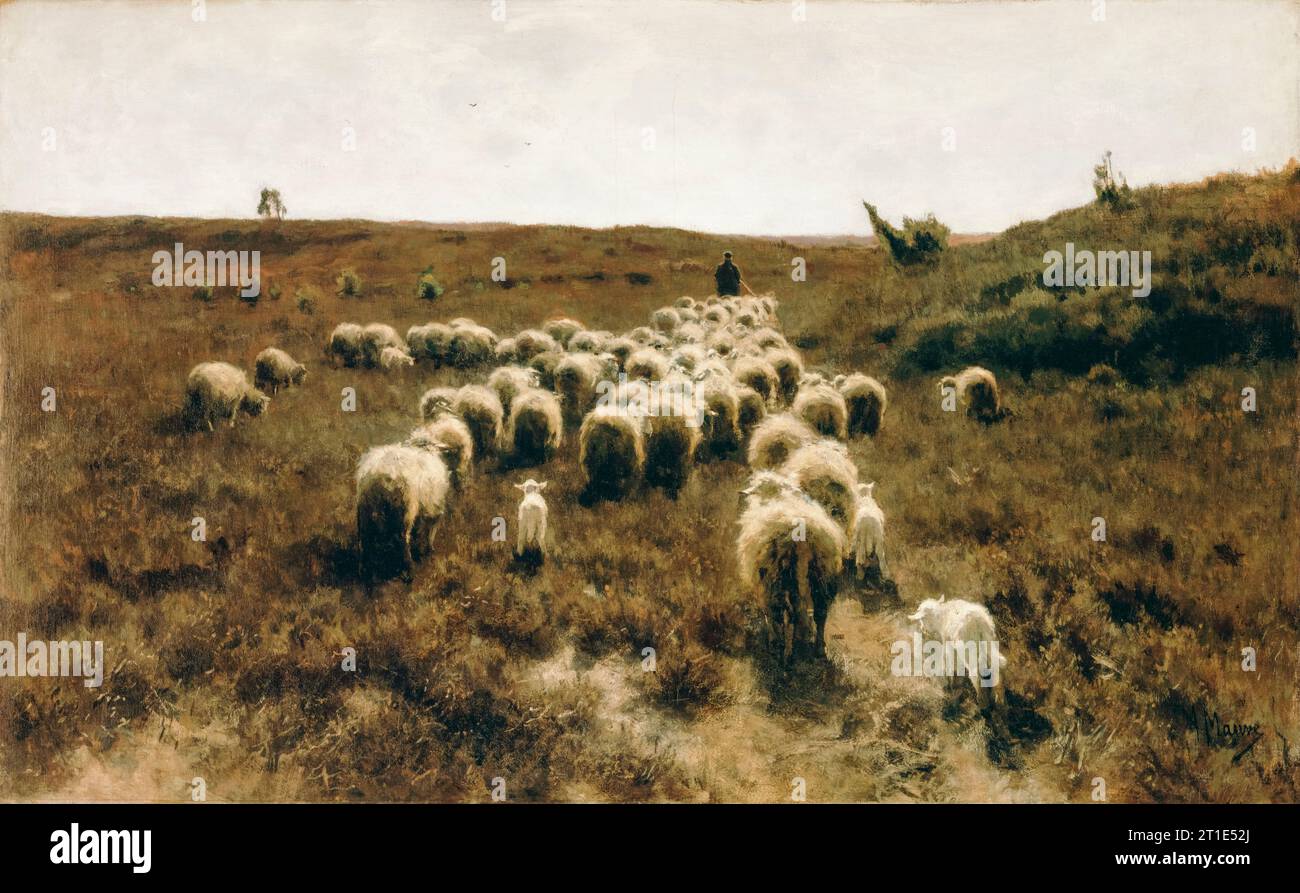 Anton Mauve, The Return of the Flock, Laren, painting in oil on canvas ...