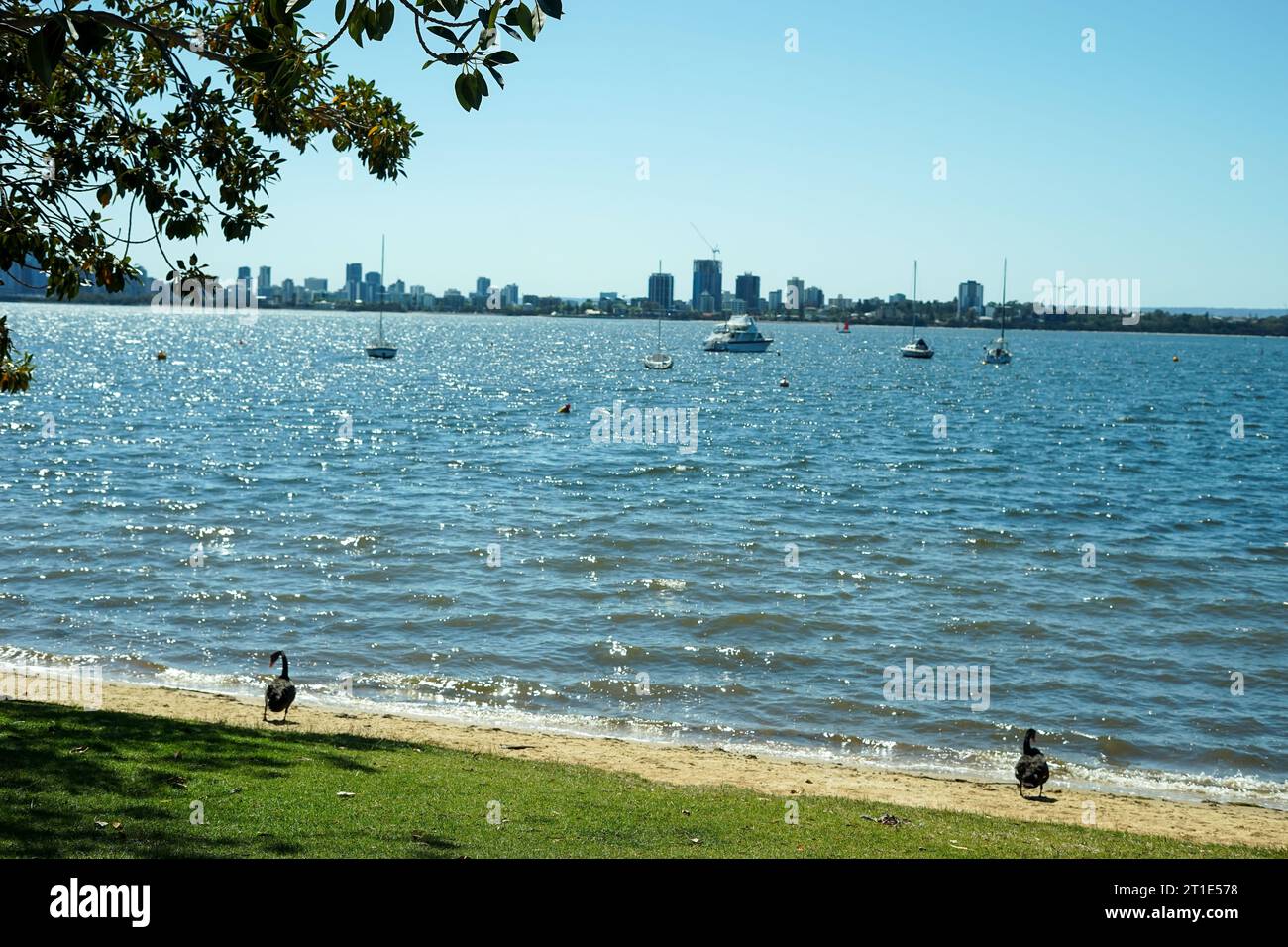 A view of the Swan River in Matilda Bay, Crawley, Perth, Western ...