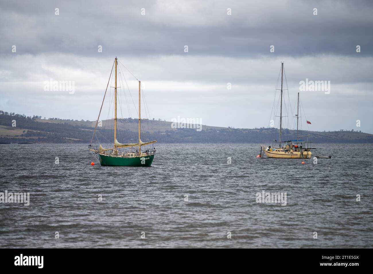 Boats in a harbour in Hobart Tasmania Australia, cray fishing boats and ...