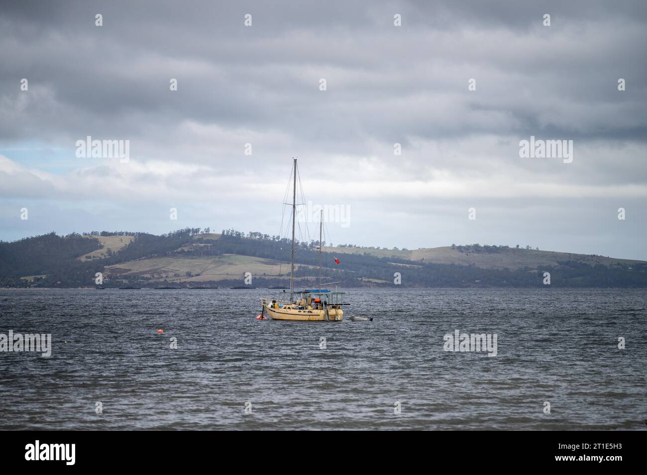 Boats in a harbour in Hobart Tasmania Australia, cray fishing boats and ...