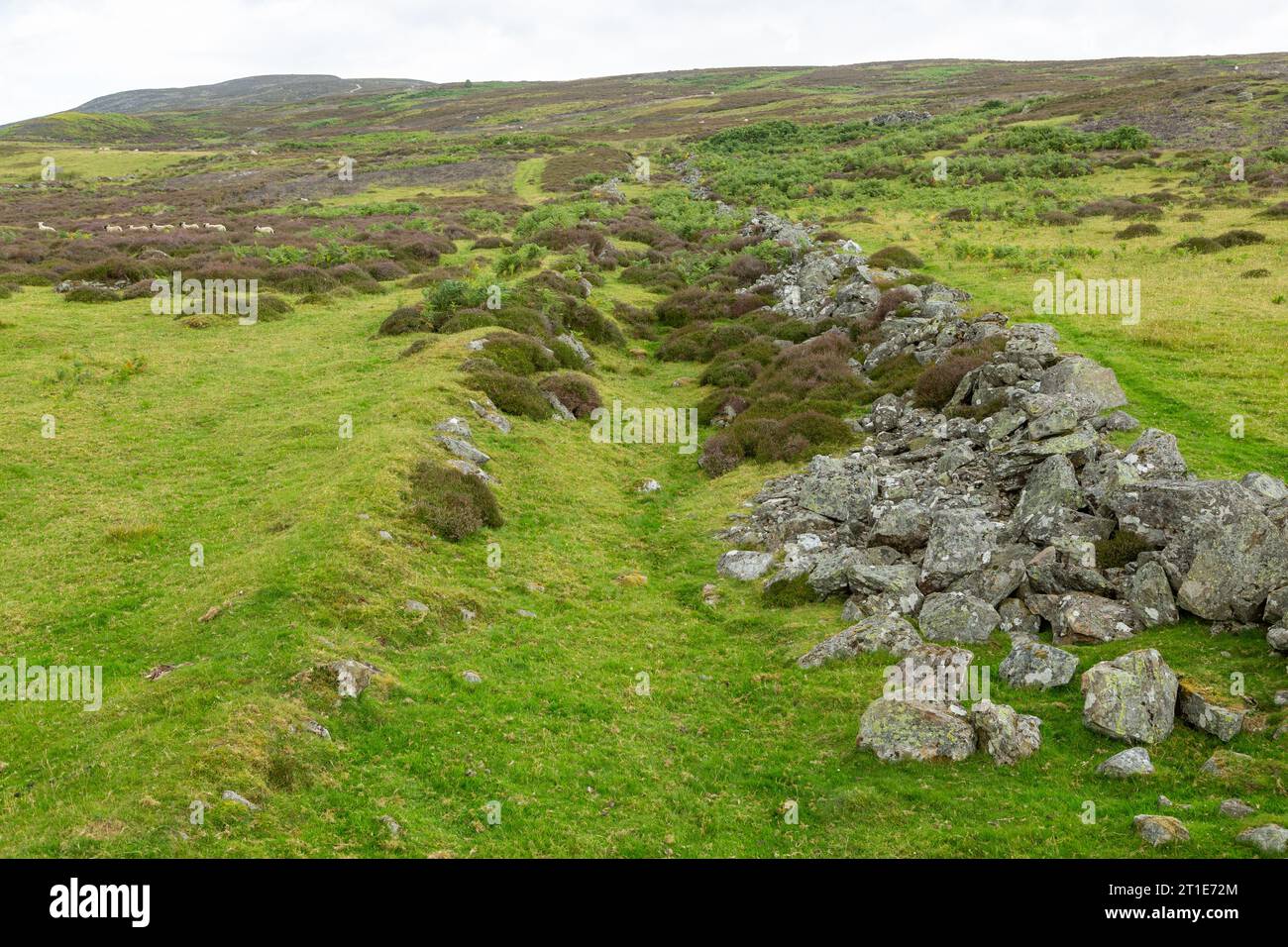 General Wade's Military Road, Amulree, Perthshire, Scotland Stock Photo ...