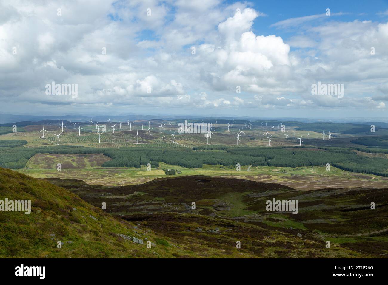 Craigvinean forest hi-res stock photography and images - Alamy