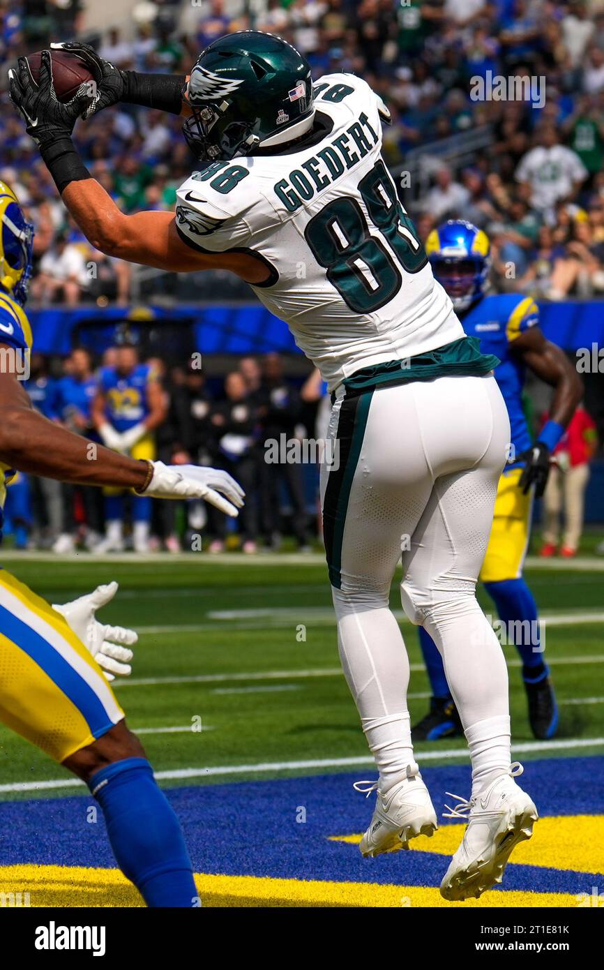 Nfl catches ball for touchdown hi-res stock photography and images - Alamy