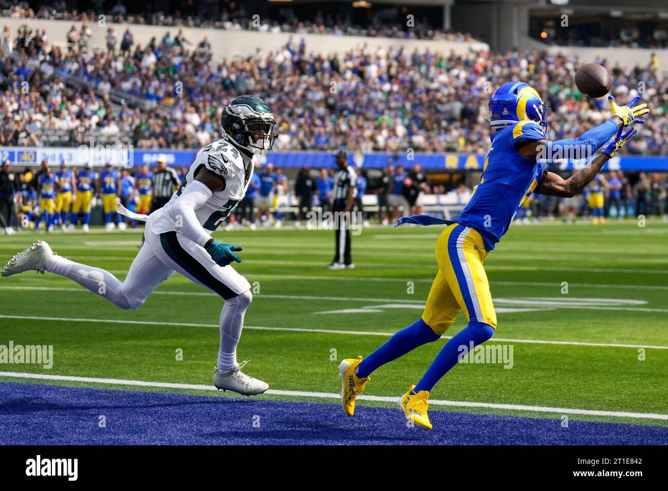 Tutu atwell rams hi-res stock photography and images - Alamy