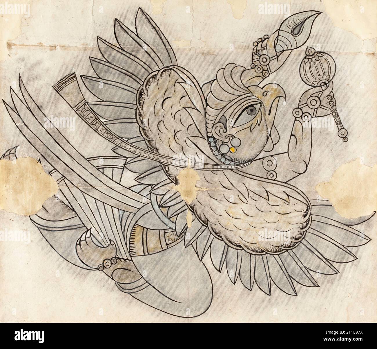 Opaque plumage hi-res stock photography and images - Alamy