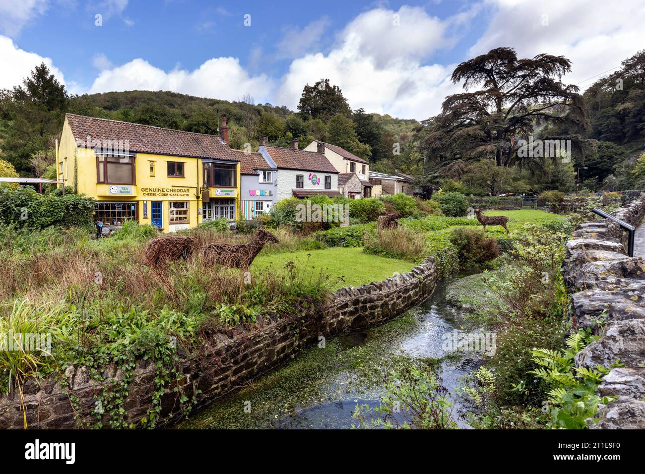 River Cheddar Yeo at Cheddar village, Somerset, England Stock Photo - Alamy