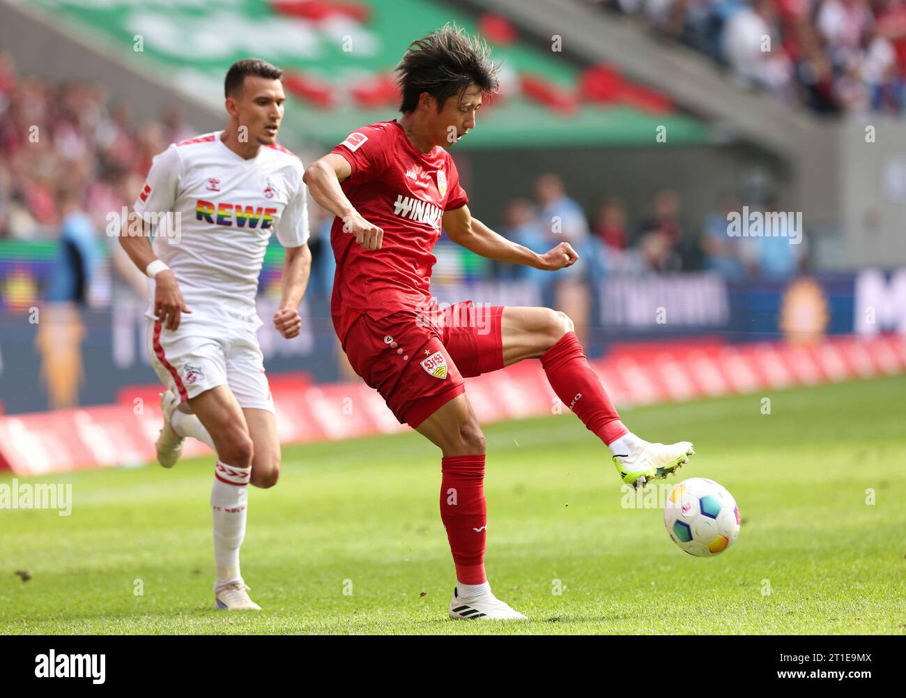Cologne, Deutschland. 30th Sep, 2023. firo: 09/30/2023, football, soccer, 1st league, 1st ...
