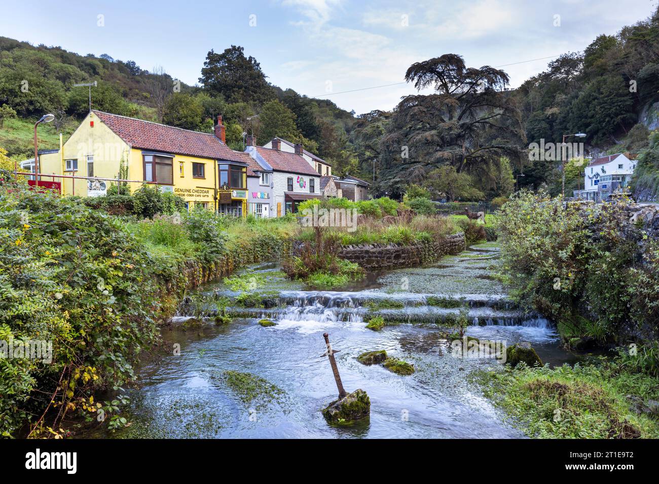 Cheddar Yeo Sword in the River Cheddar Yeo at Cheddar village, Somerset ...