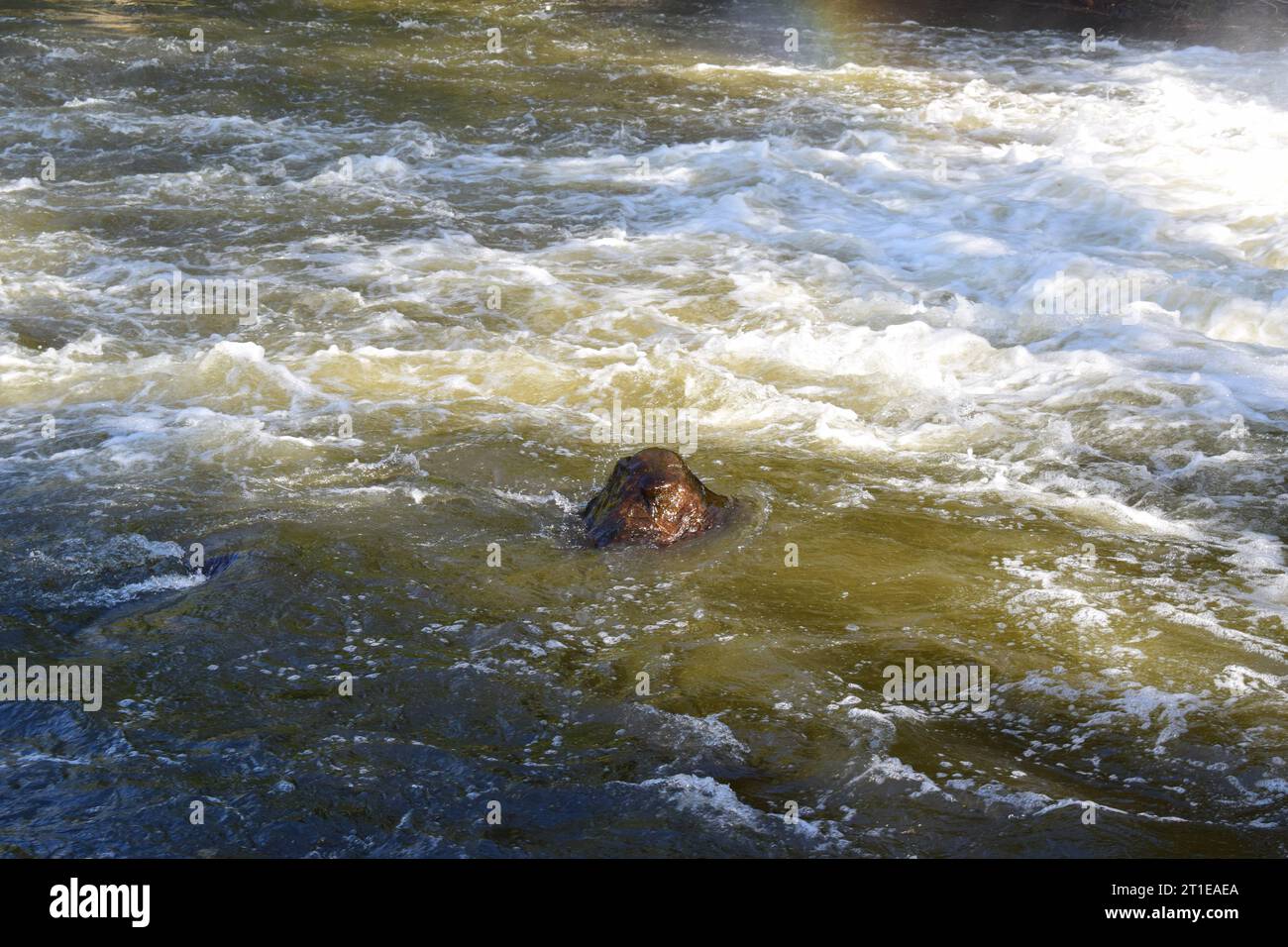 Coo waterfall hi-res stock photography and images - Alamy