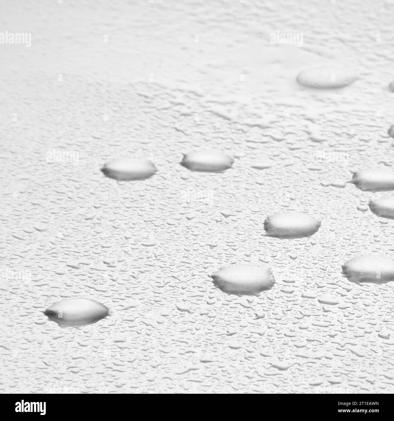 Water drops, texture and splash or white background with liquid, rain ...