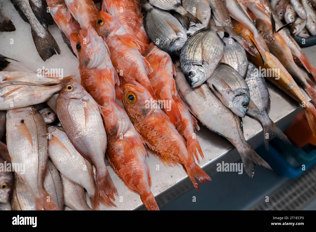 Variety of seafood hi-res stock photography and images - Alamy