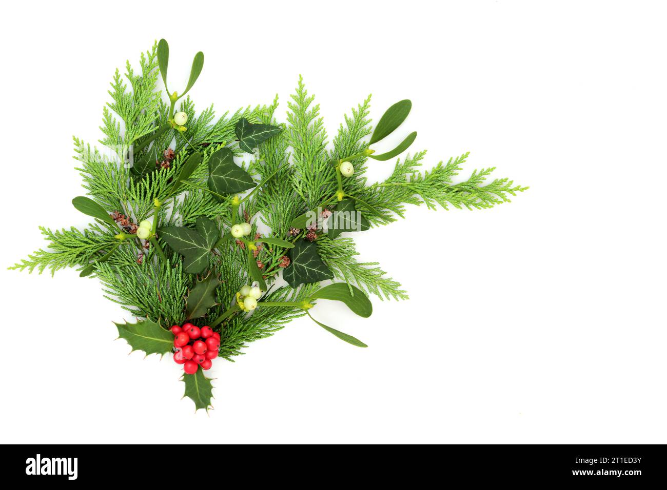 December greenery Cut Out Stock Images & Pictures - Alamy