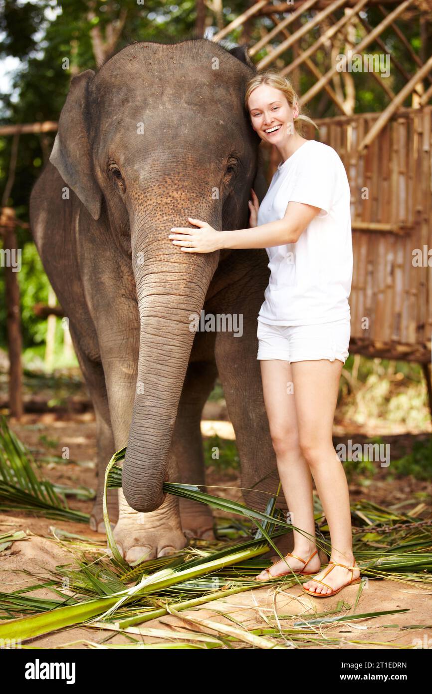 Portrait, travel and happy woman hug elephant in a jungle for adventure ...