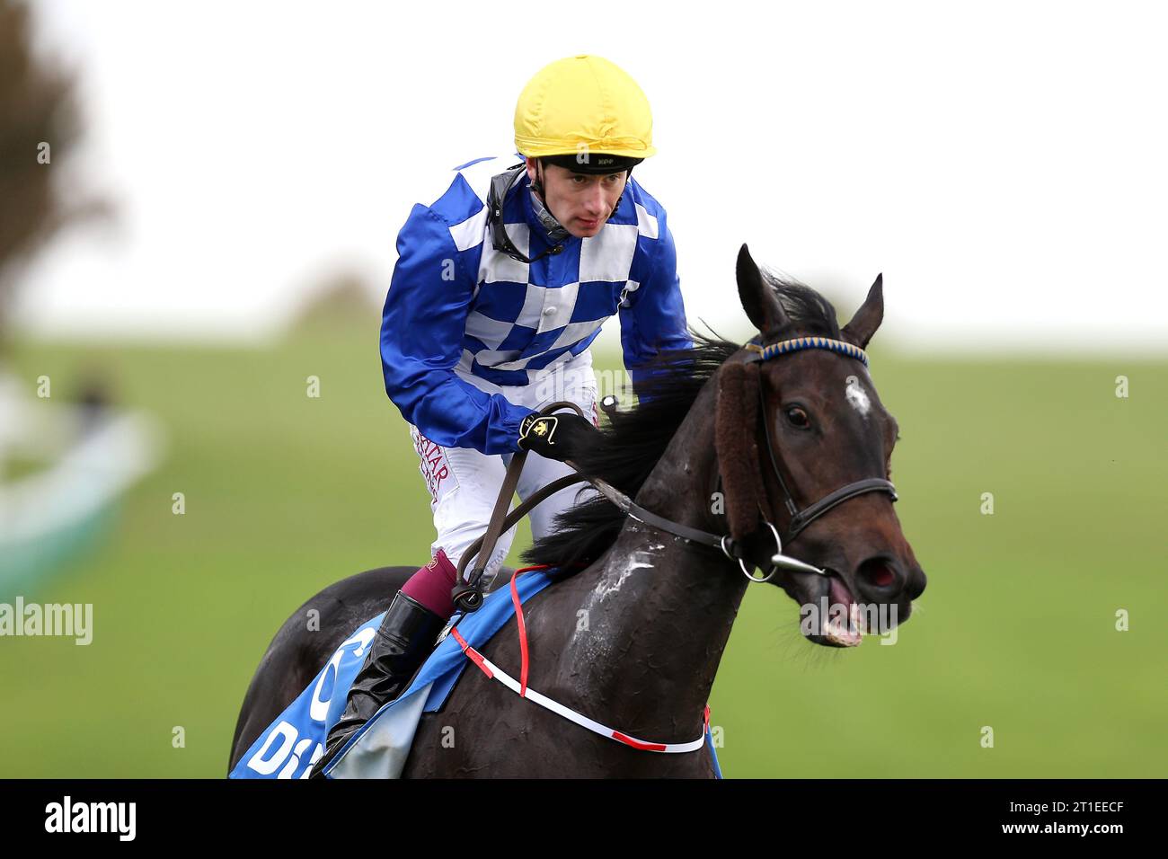Matilda Picotte ridden by jockey Oisin Murphy before the Thoroughbred ...