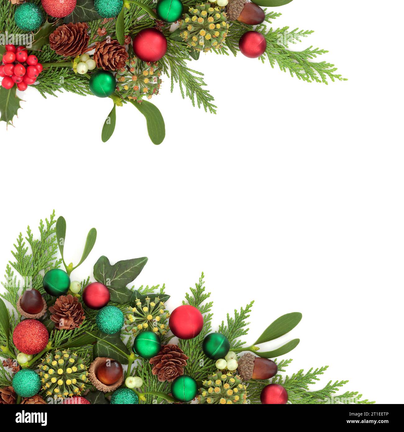 Christmas winter nature greenery background frame with holly, mistletoe ...