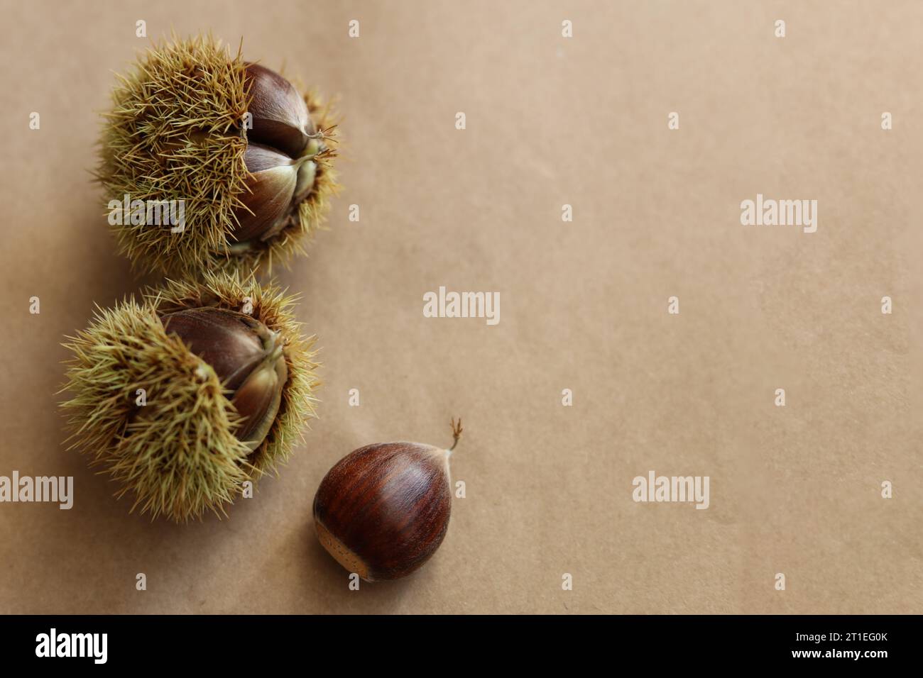 a close up of edible chestnut on paper background Stock Photo - Alamy