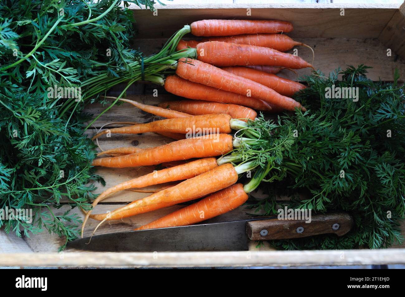Carrots in a box hi-res stock photography and images - Alamy
