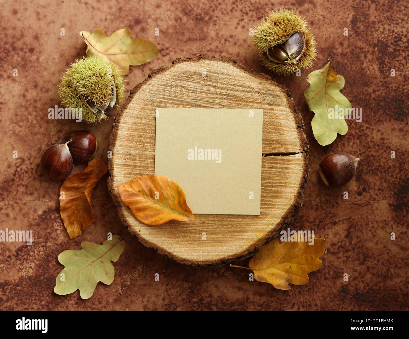 a still life with a blank note card on slice of rough wood with ...