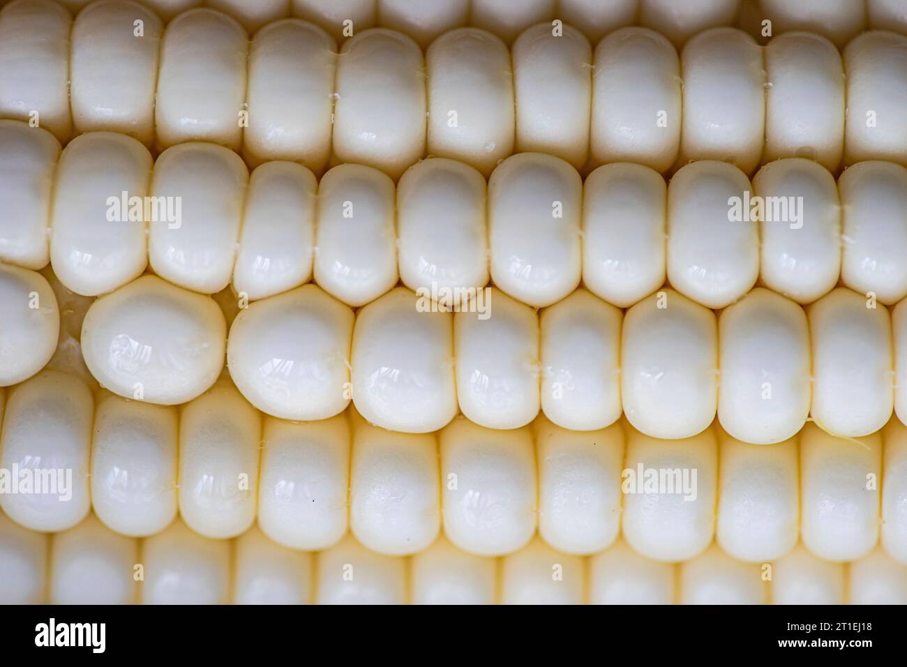 Corn picture hi-res stock photography and images - Alamy