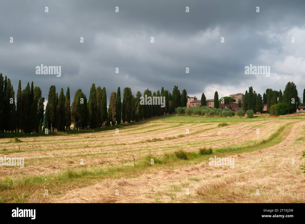 Country landscape near Sinalunga, Siena province, Tuscany, Italy, at ...