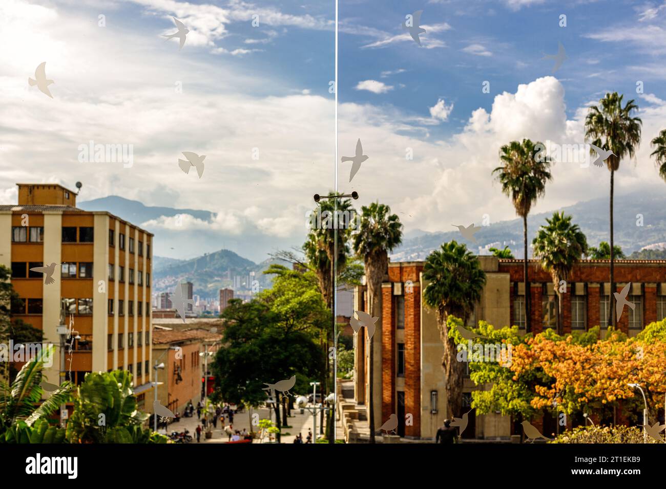 Plaza Fernando Botero seen from a window with figures of birds in ...