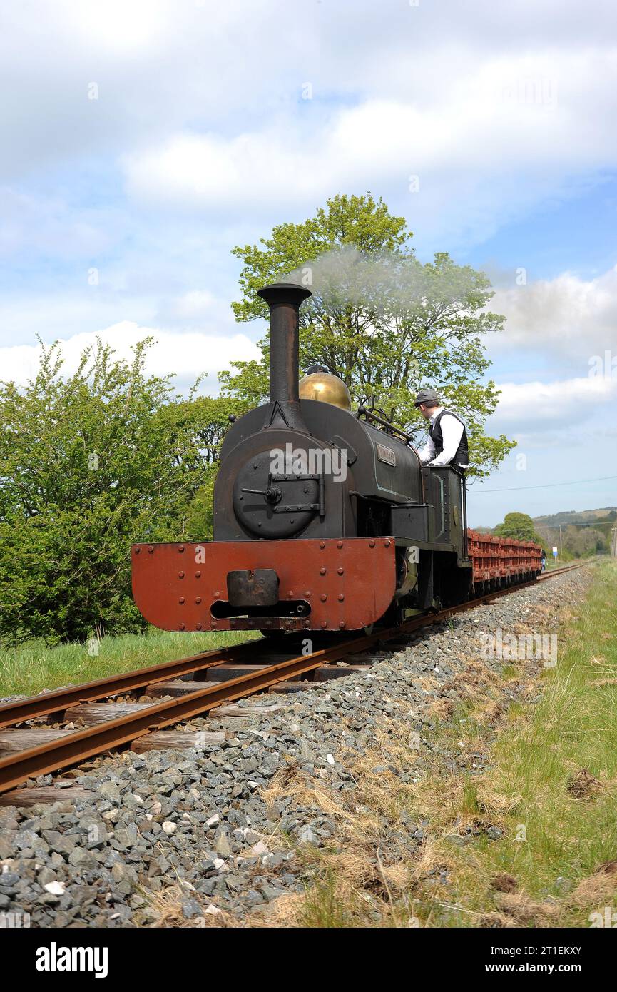 "Winifred" near Dolfawr Crossing with a train of slate wagons Stock ...