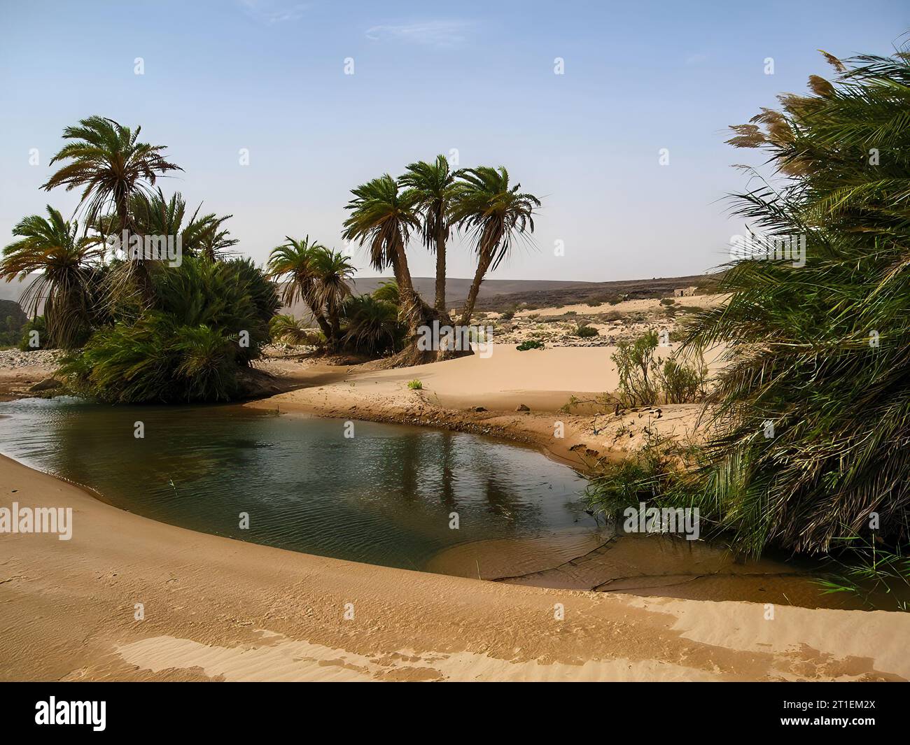Welcome oasis hi-res stock photography and images - Alamy