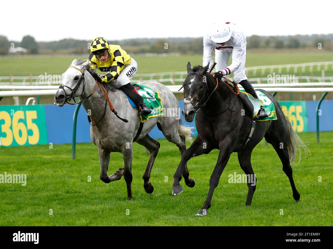 Alsakib ridden by jockey James Doyle (right) wins the Bet365 Old Rowley ...