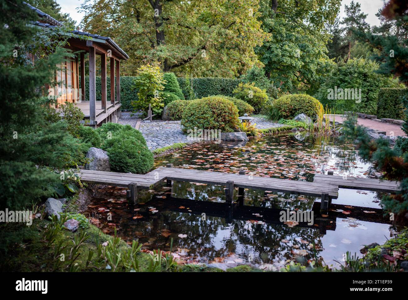 Traditional Japanese tea house with pond, wooden bridge, garden with ...