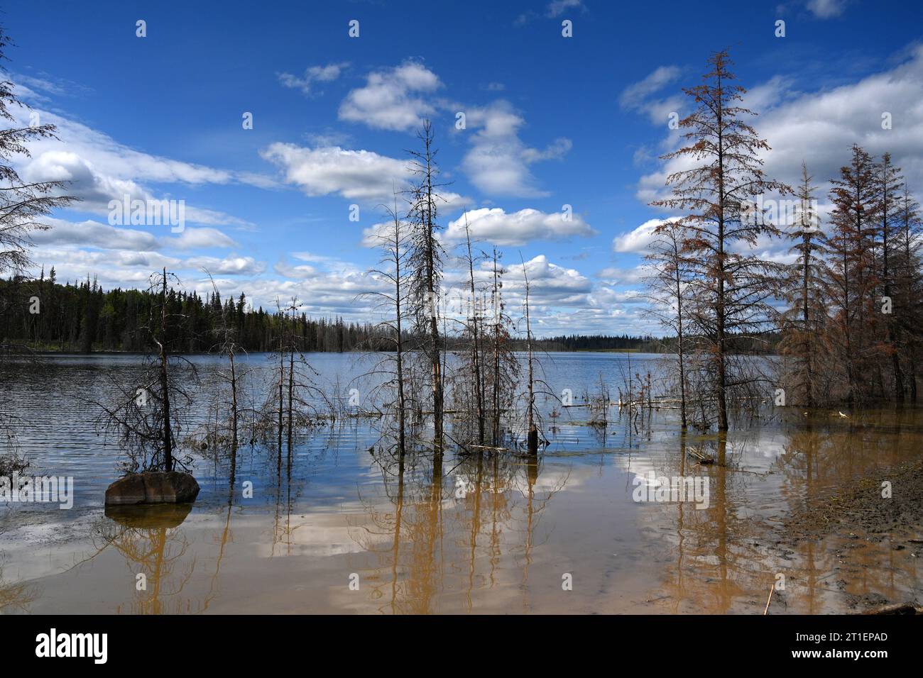 British columbia landscape hi-res stock photography and images - Alamy