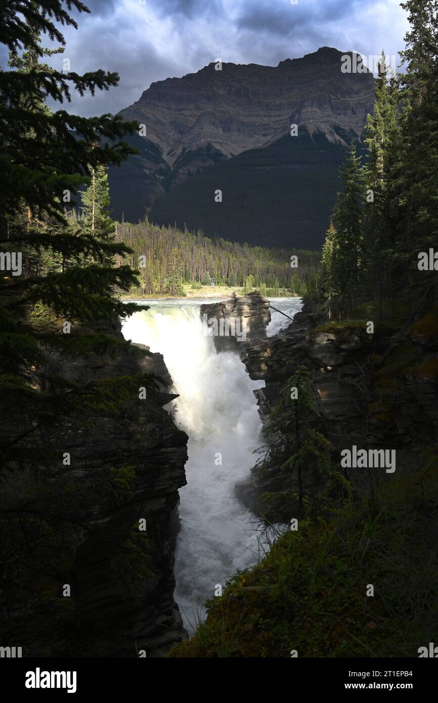 Waterfall athabasca falls hi-res stock photography and images - Alamy
