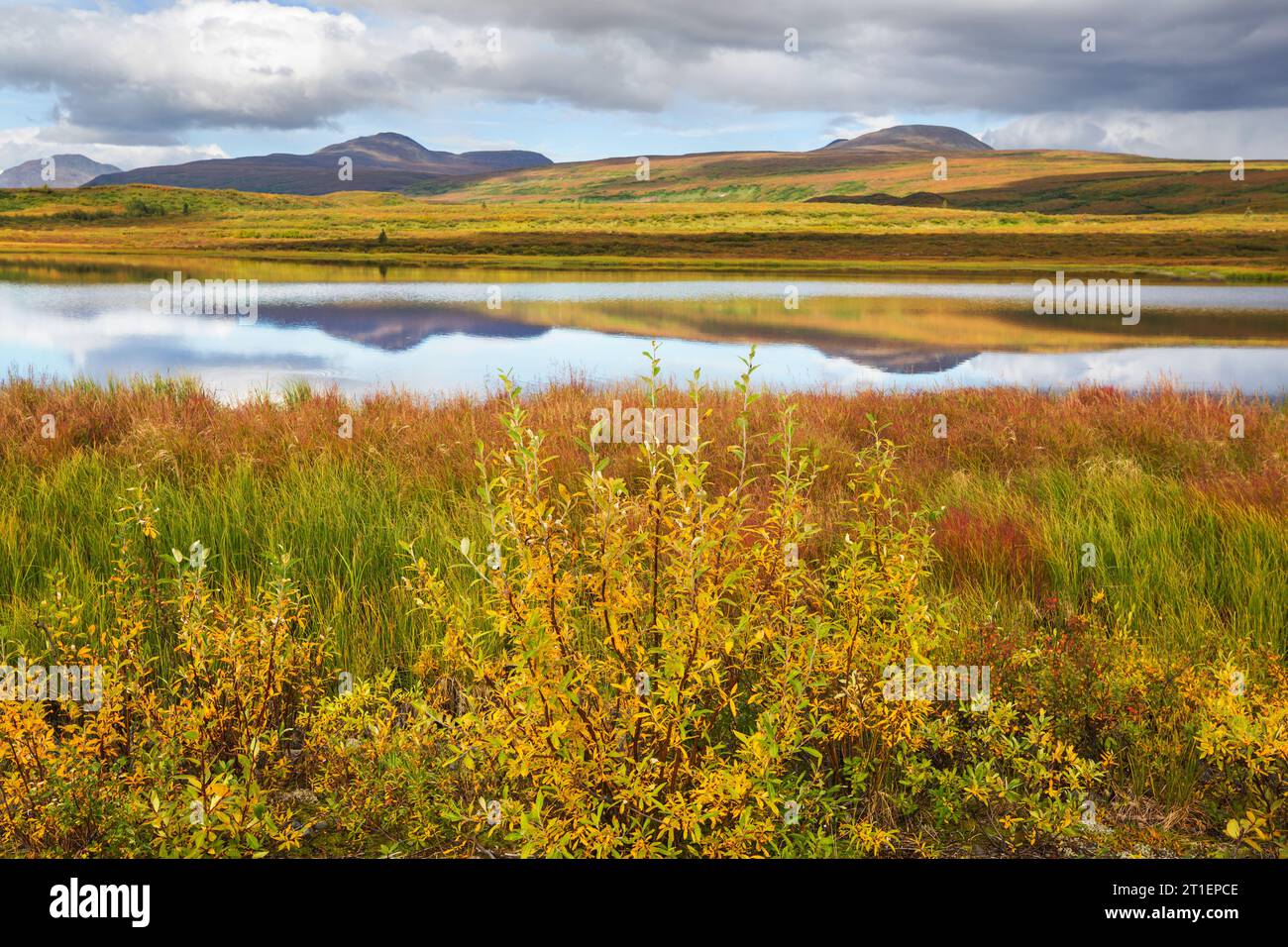 Tundra landscapes above Arctic circle in autumn season. Beautiful ...