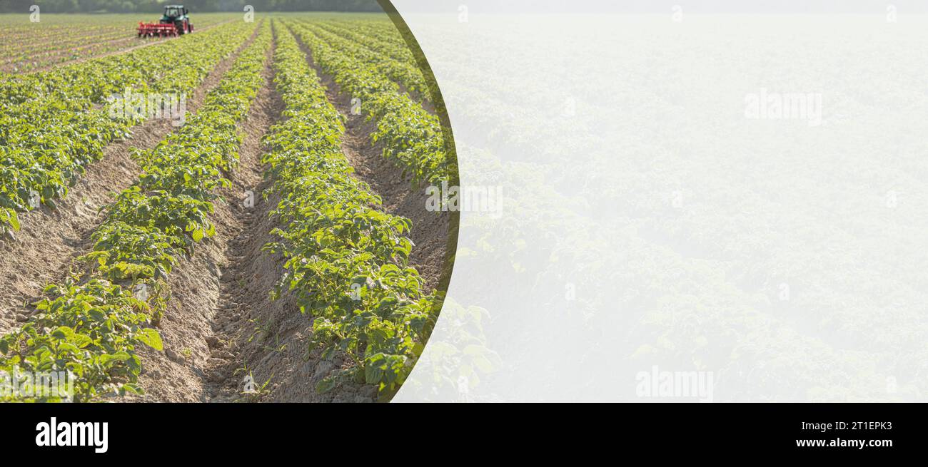 Planting crops feeding farm hi-res stock photography and images - Alamy