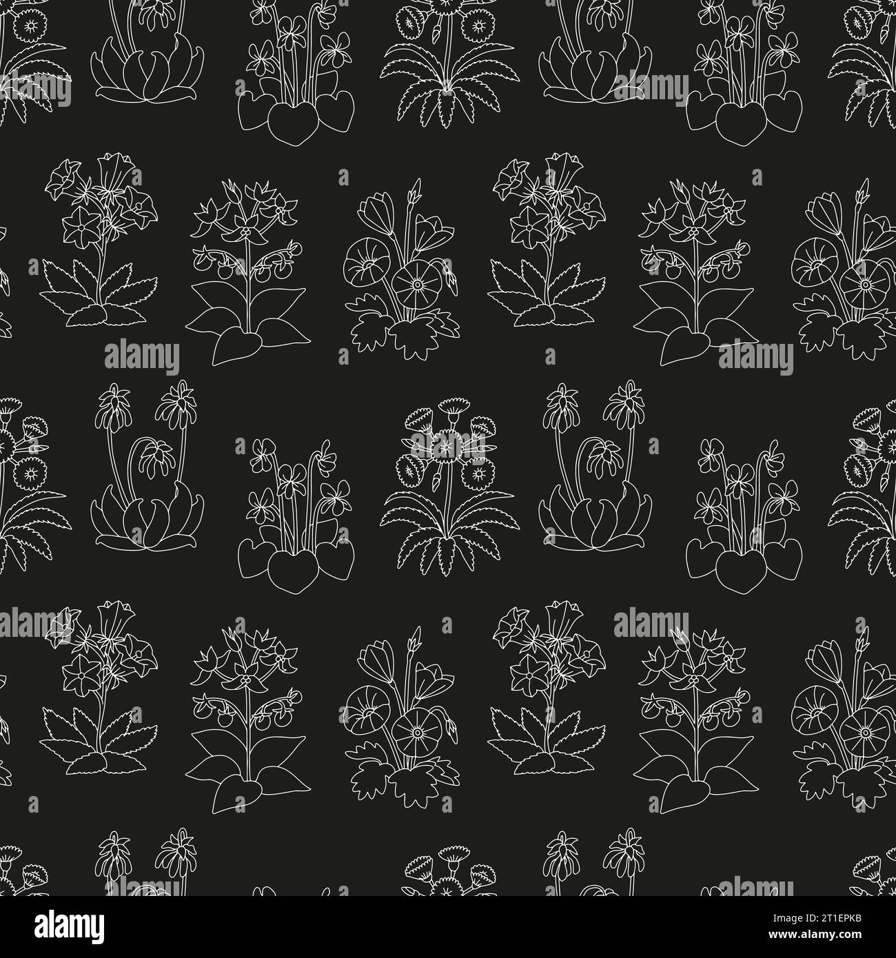 Flora of the canary islands Stock Vector Images - Alamy