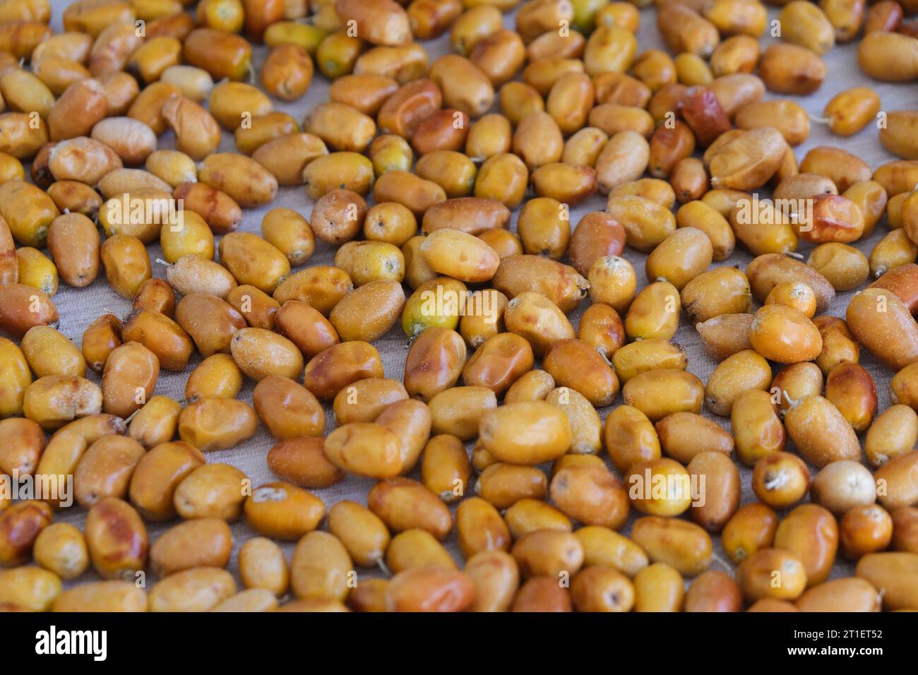 Silverberry hi-res stock photography and images - Alamy