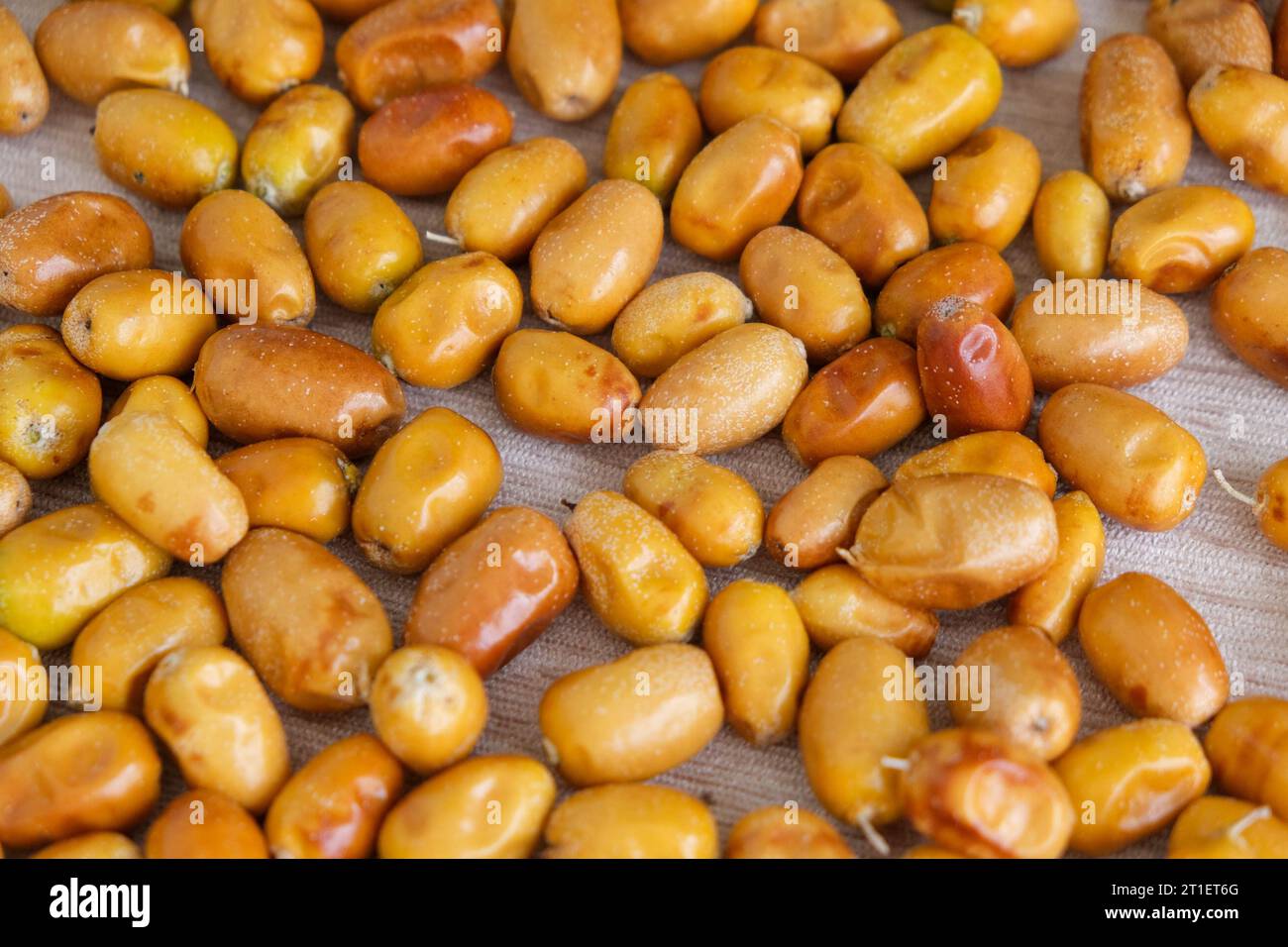 Silverberry hi-res stock photography and images - Alamy