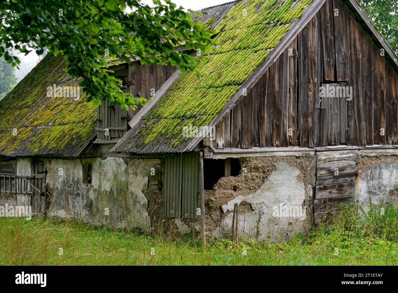 An old barn with a roof covered with moss Stock Photo - Alamy