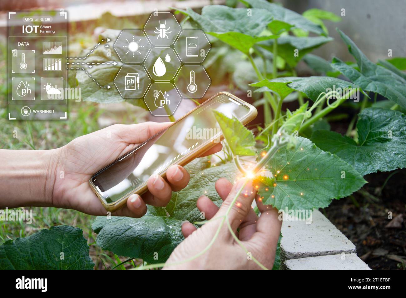The concept of using AI and smart farming Stock Photo - Alamy