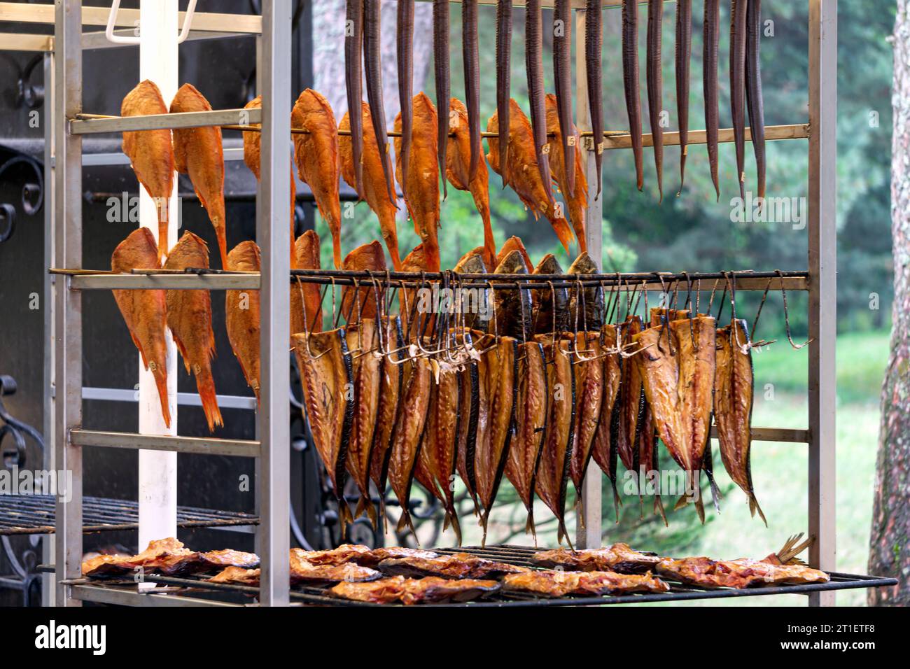 Fish smoking process hi-res stock photography and images - Alamy
