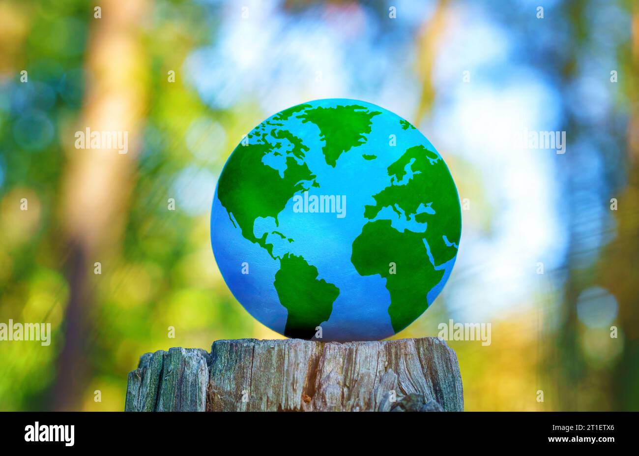 Globe finds its place on a mossy tree stump in the serene woods ...