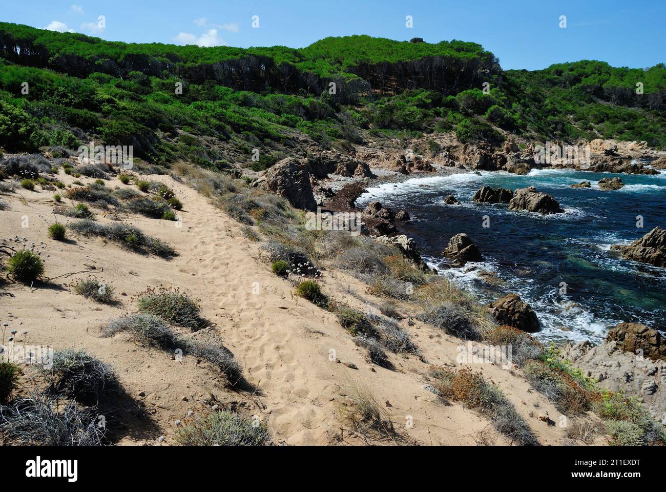 Caloni hi-res stock photography and images - Alamy