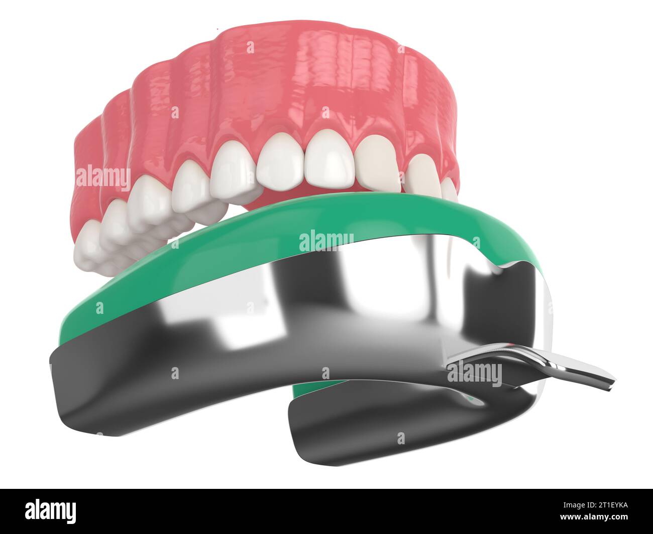 Fixed upper mandible hi-res stock photography and images - Alamy