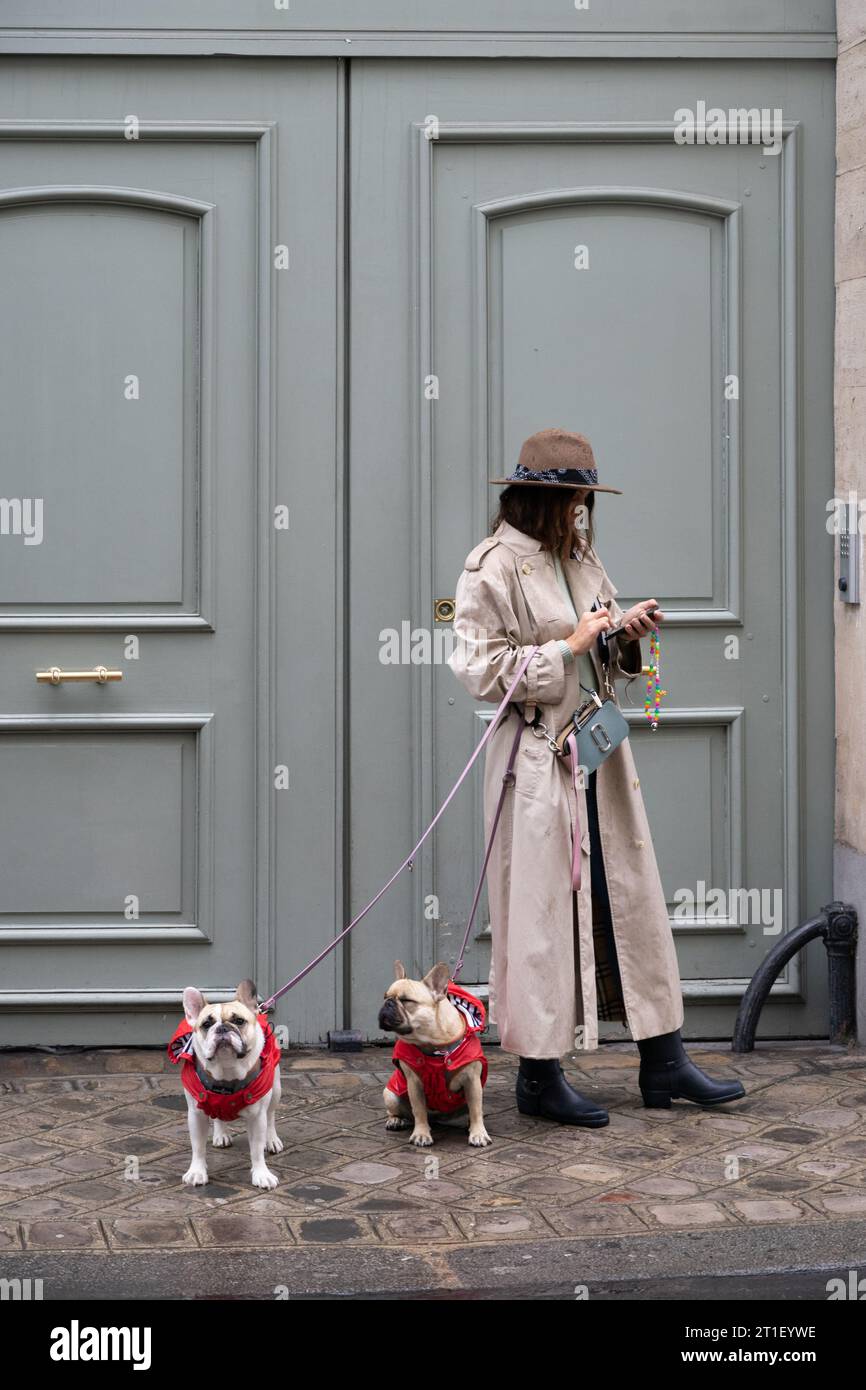 Paris France authentic daily life, elegant lady with two dogs Stock ...