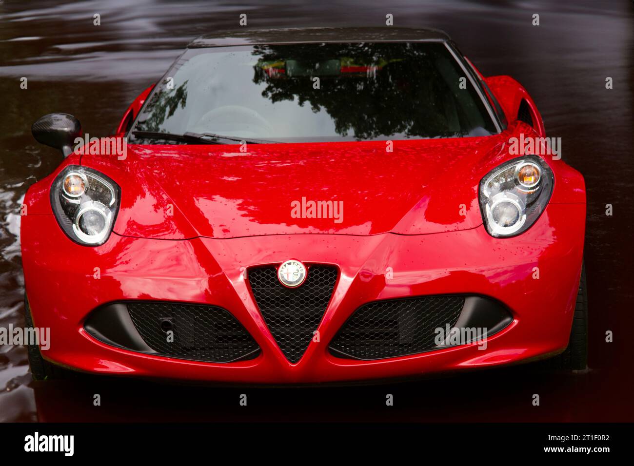 A close-up head-on image of a classic Alfa Romeo red sports car ...